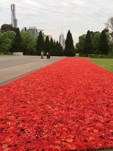 Handmade poppies cascade over Shrine lawns on Remembrance Day - ABC ...