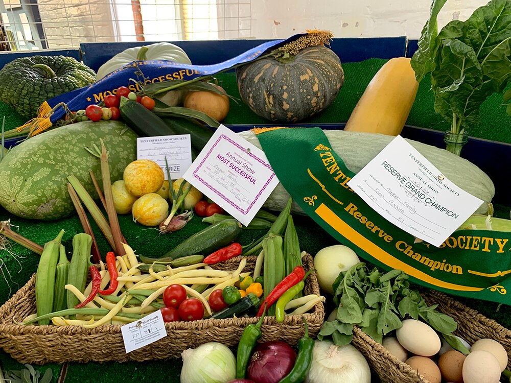 Tenterfield celebrates local show despite COVID forcing it to a one-day ...