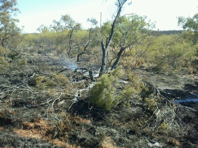 Authorities monitor bushfire scene - ABC News