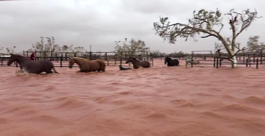 The damage at Bullara Station near Exmouth after Cyclone Narelle. - ABC ...