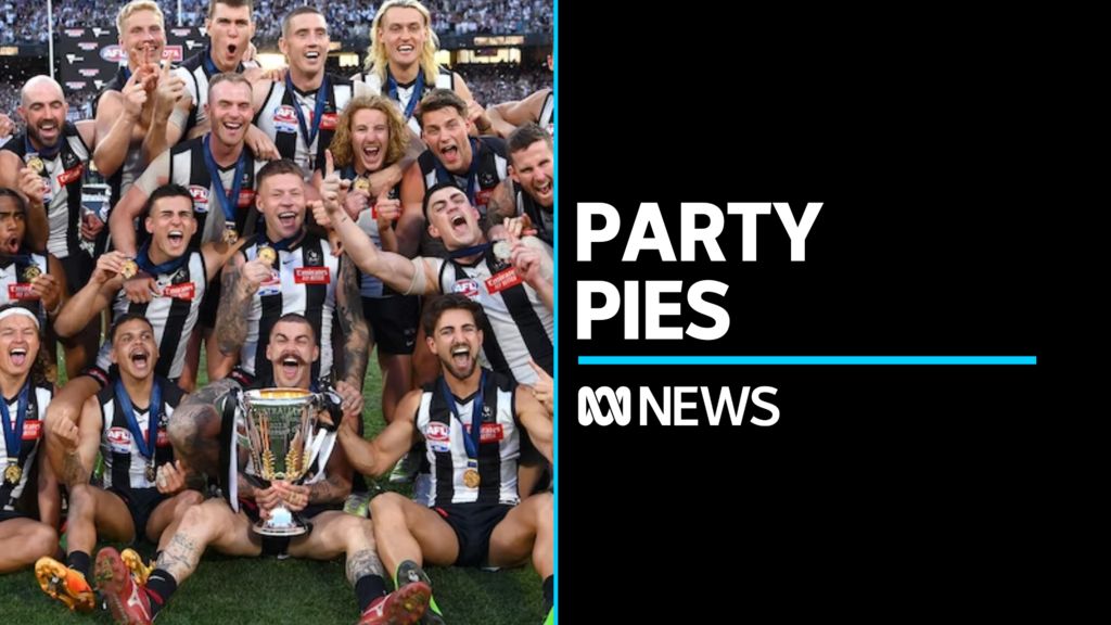 A day of celebration after Collingwood's AFL Grand Final victory - ABC News