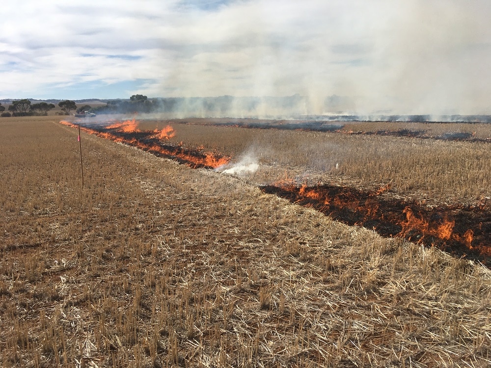 Flame retardant trial success could change stay-and-defend bushfire ...