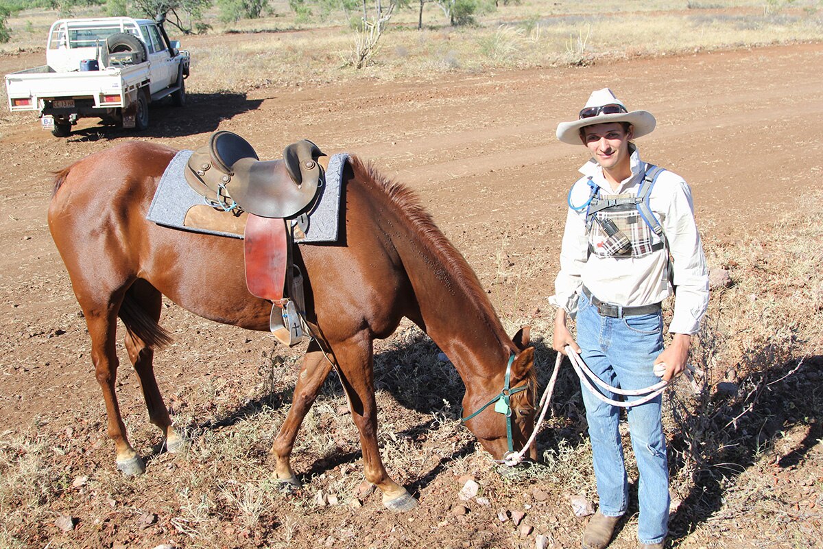 Outback horses still a ringer's best mate - ABC News