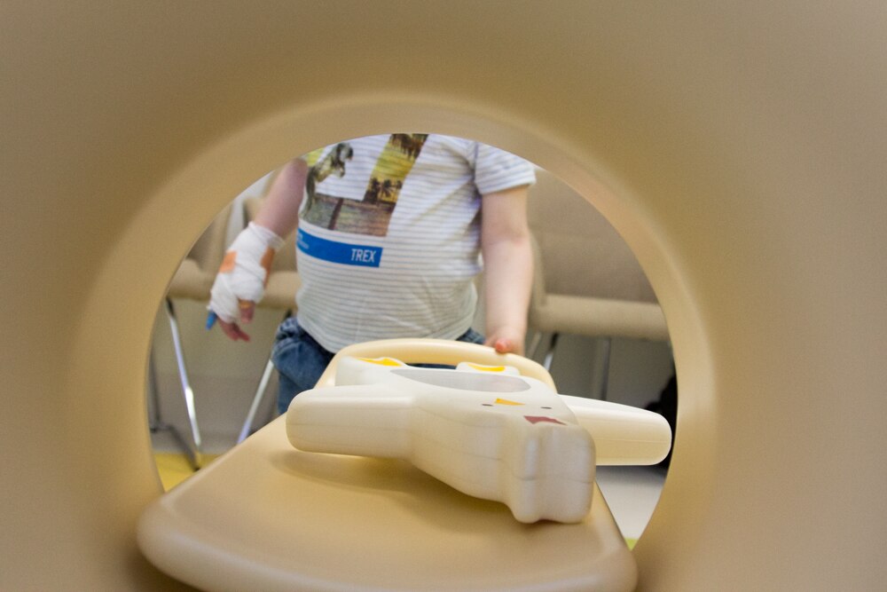 Kitten scanner: The fun-sized MRI machine changing lives at Monash ...