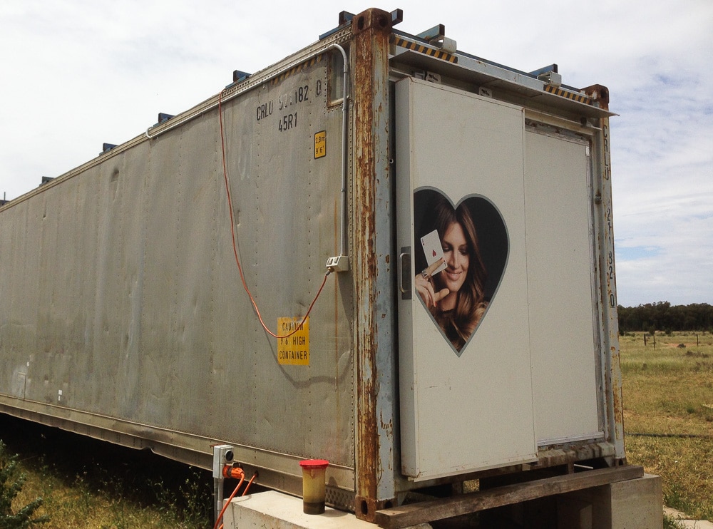 Pig farmers' Extraordinary Pork takes control of processing with mobile ...