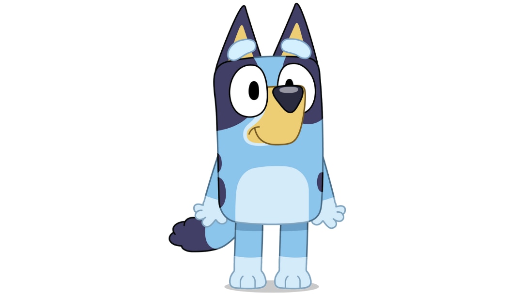 From Australian kelpies and pugs to English bulldogs and labradors ...