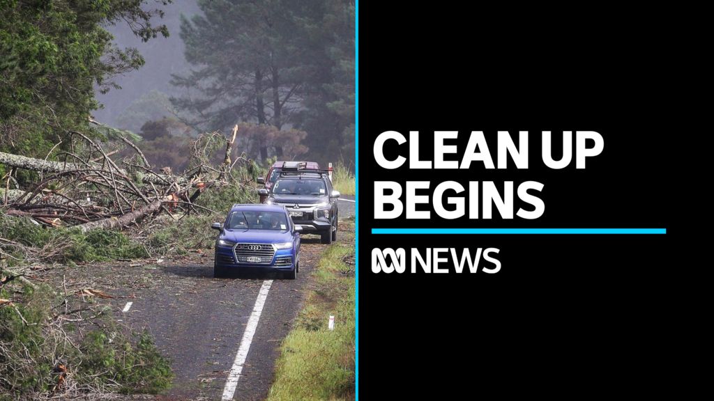 News Channel - ABC News