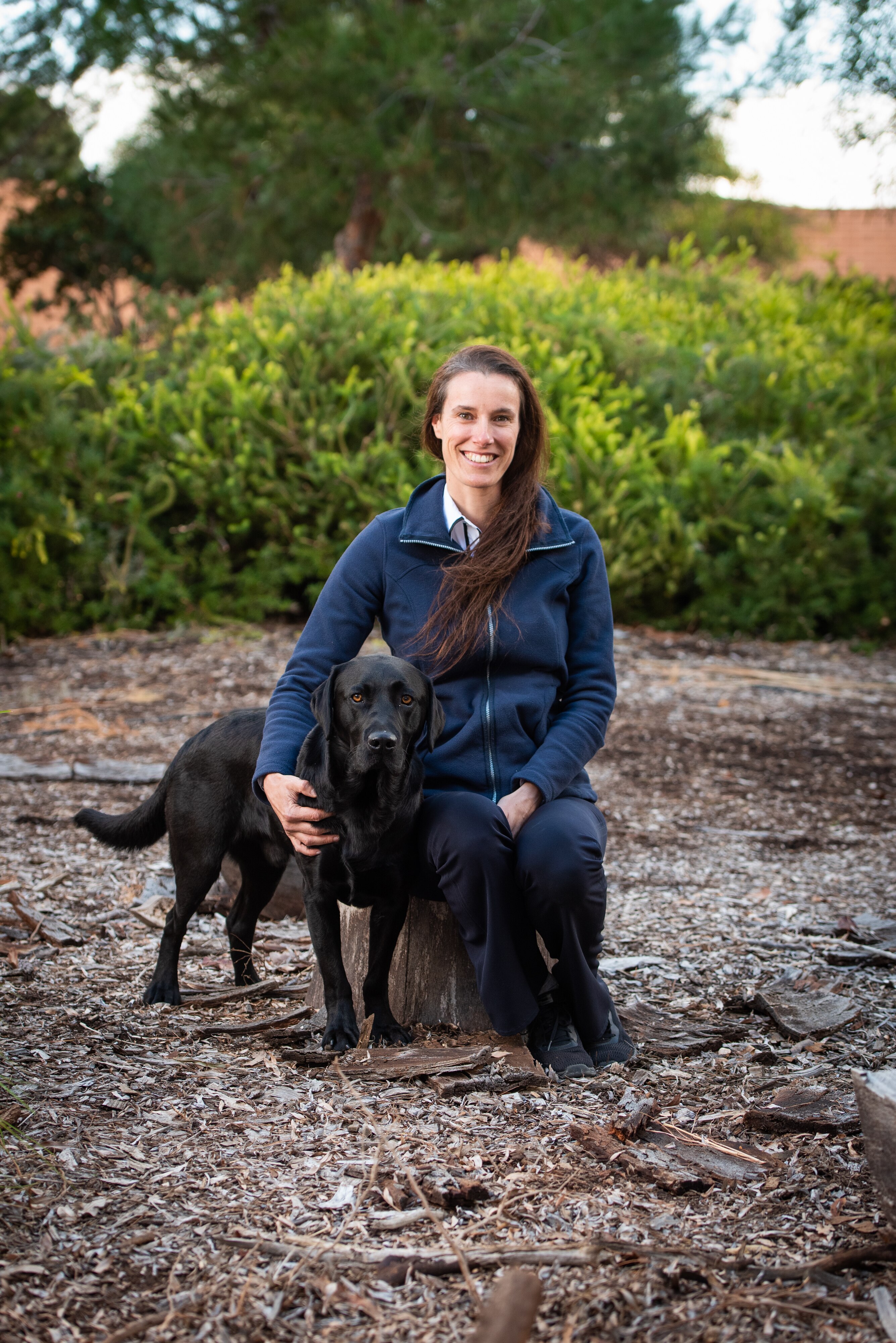 Bands using COVID-sniffing dogs on tour but Big Day Out founder says it ...