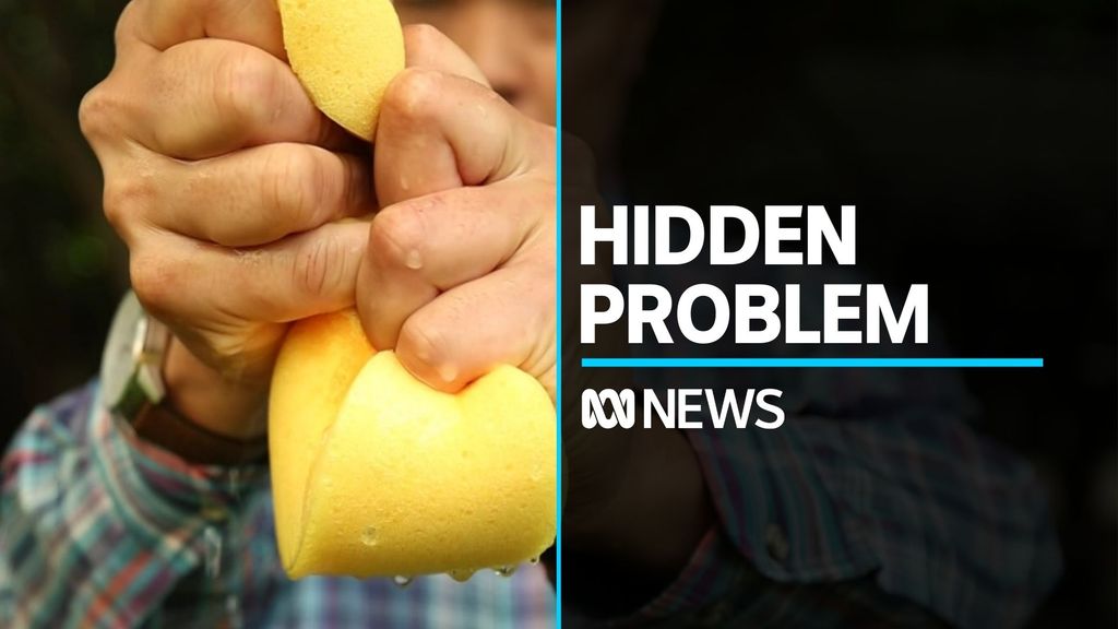 Condensation problem - ABC News