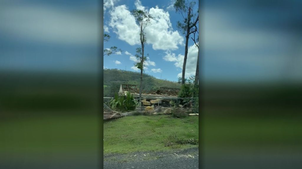 The aftermath of the Christmas 2023 storm at Mount Tamborine. - ABC News