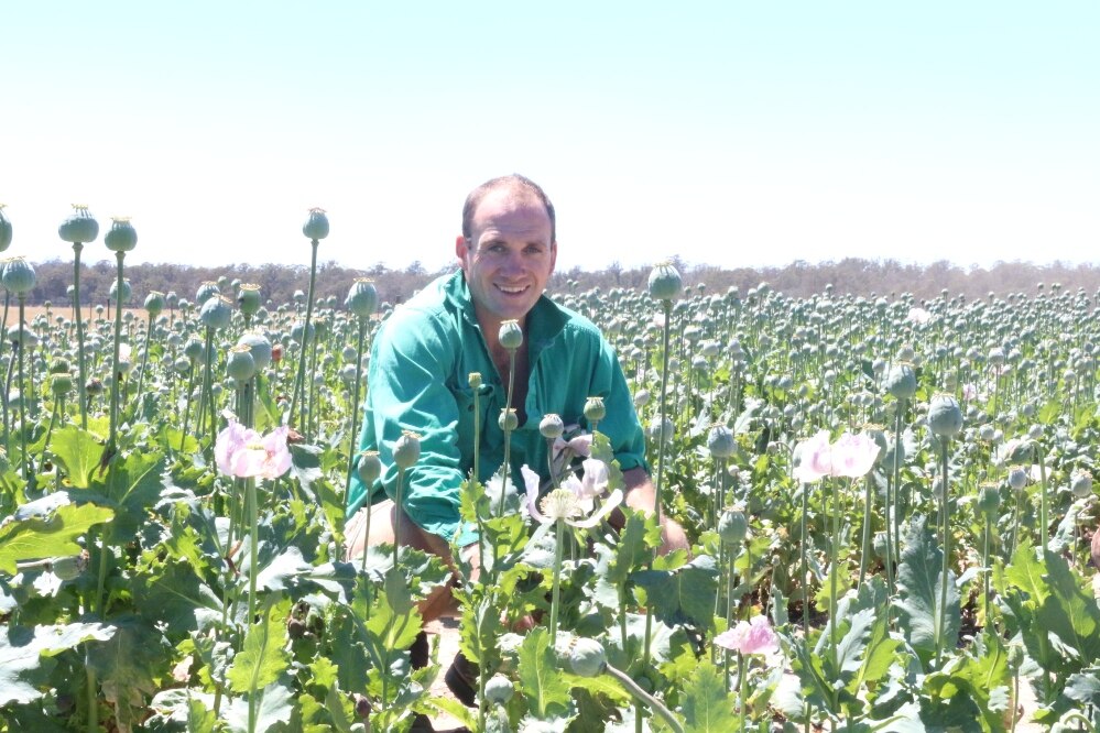 National taskforce to research and eradicate a virulent strain of ...
