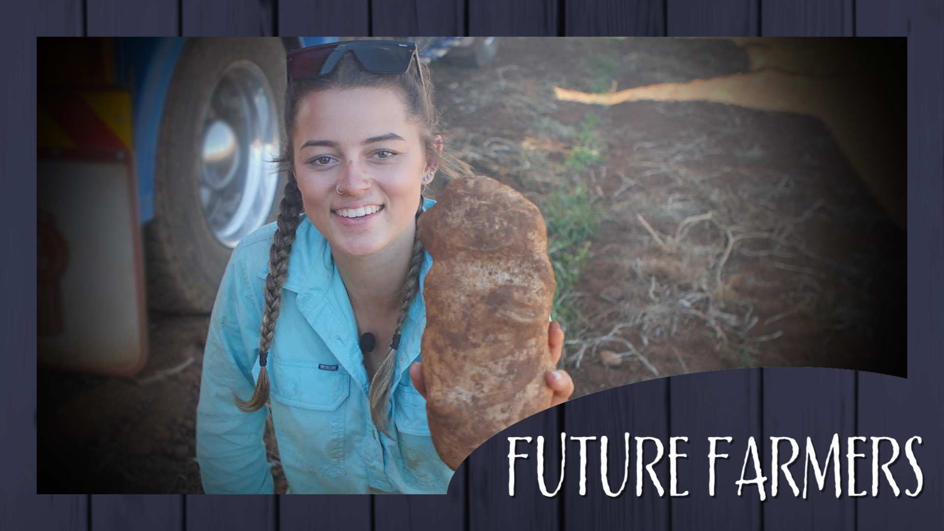 Potato farming and how chips are made - ABC Education