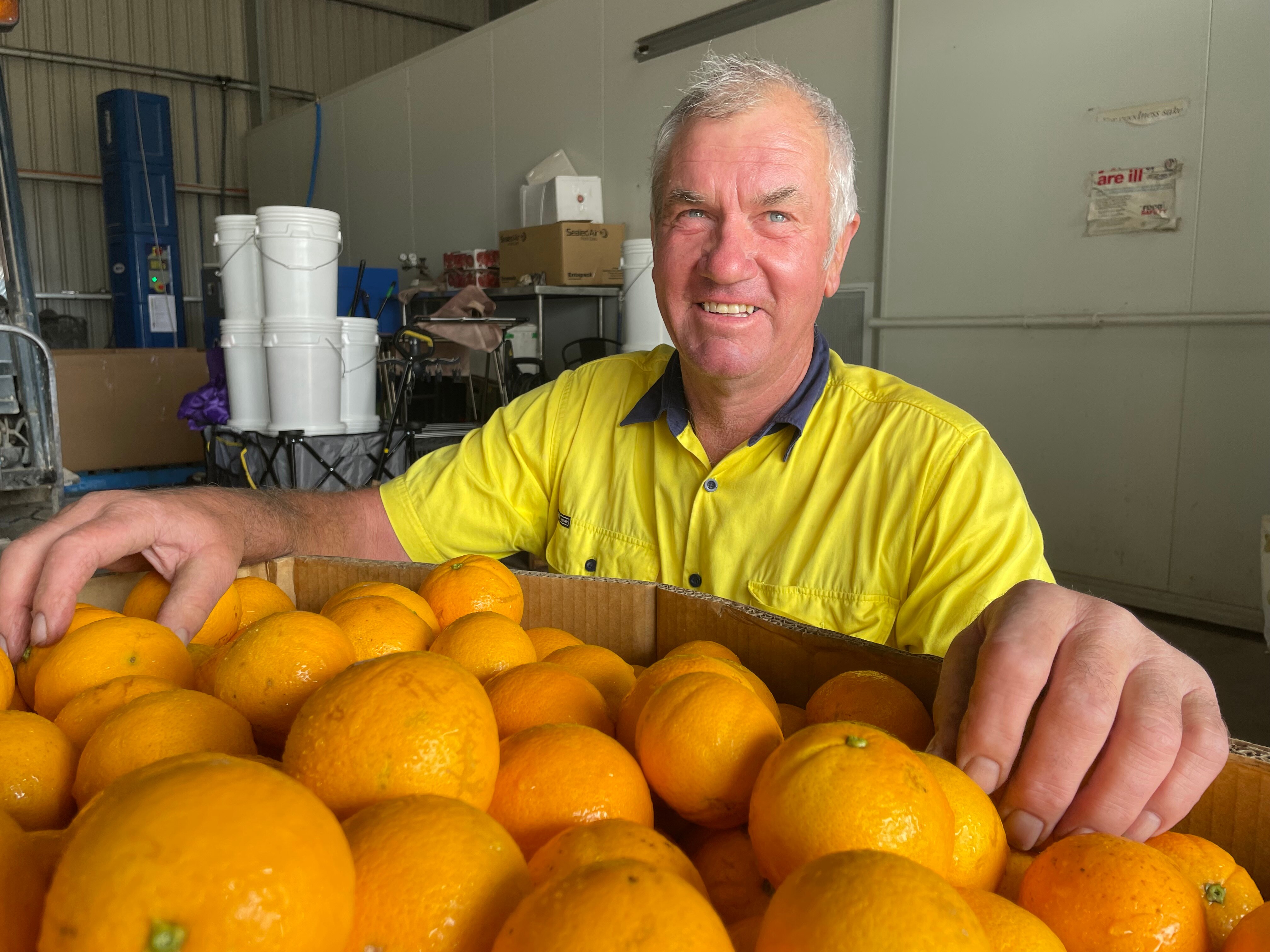 Scouting inspires SA woman to turn farm waste into sustainable food ...