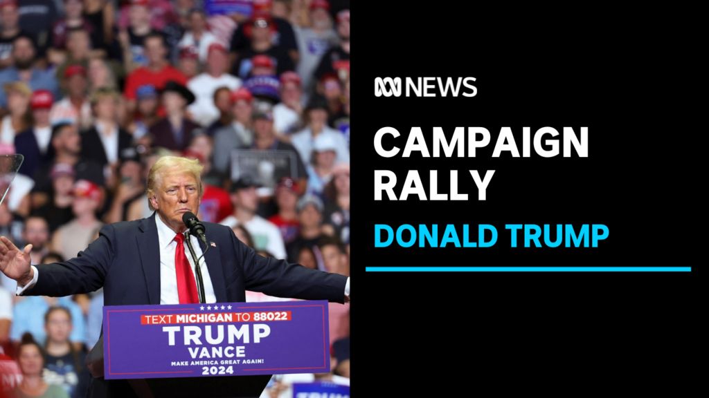 Interview with Independent MP Zoe Daniel - ABC News