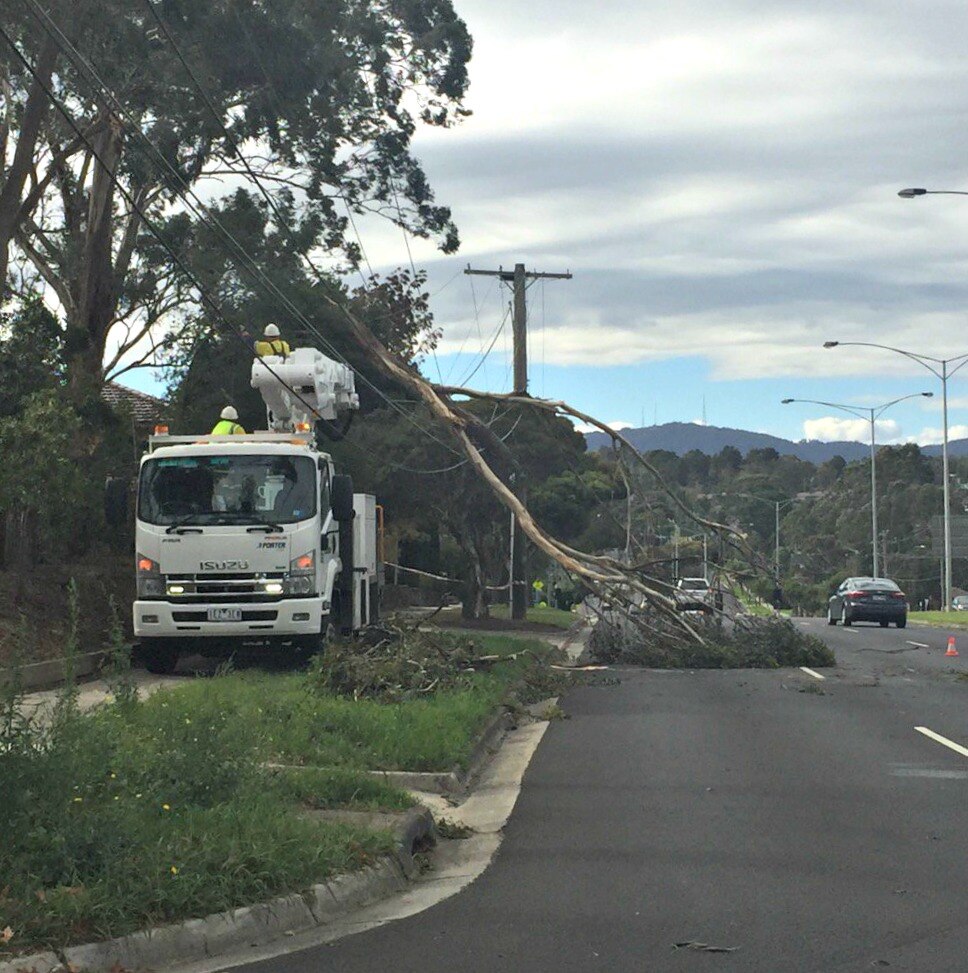 Victoria weather: Strong winds hit Melbourne, southern parts of state ...