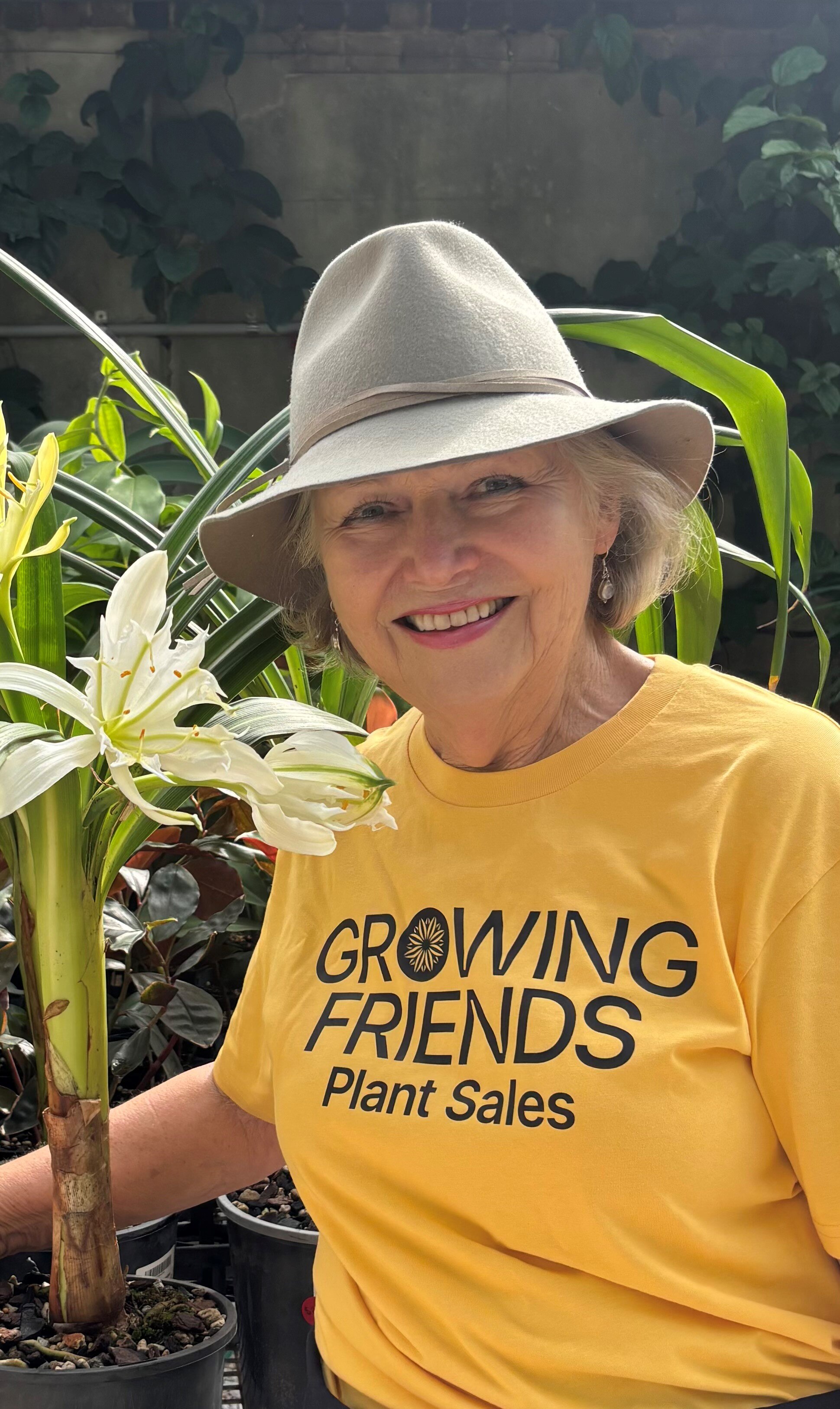 The minimal-effort herbs and edible plants that produce for years - ABC ...