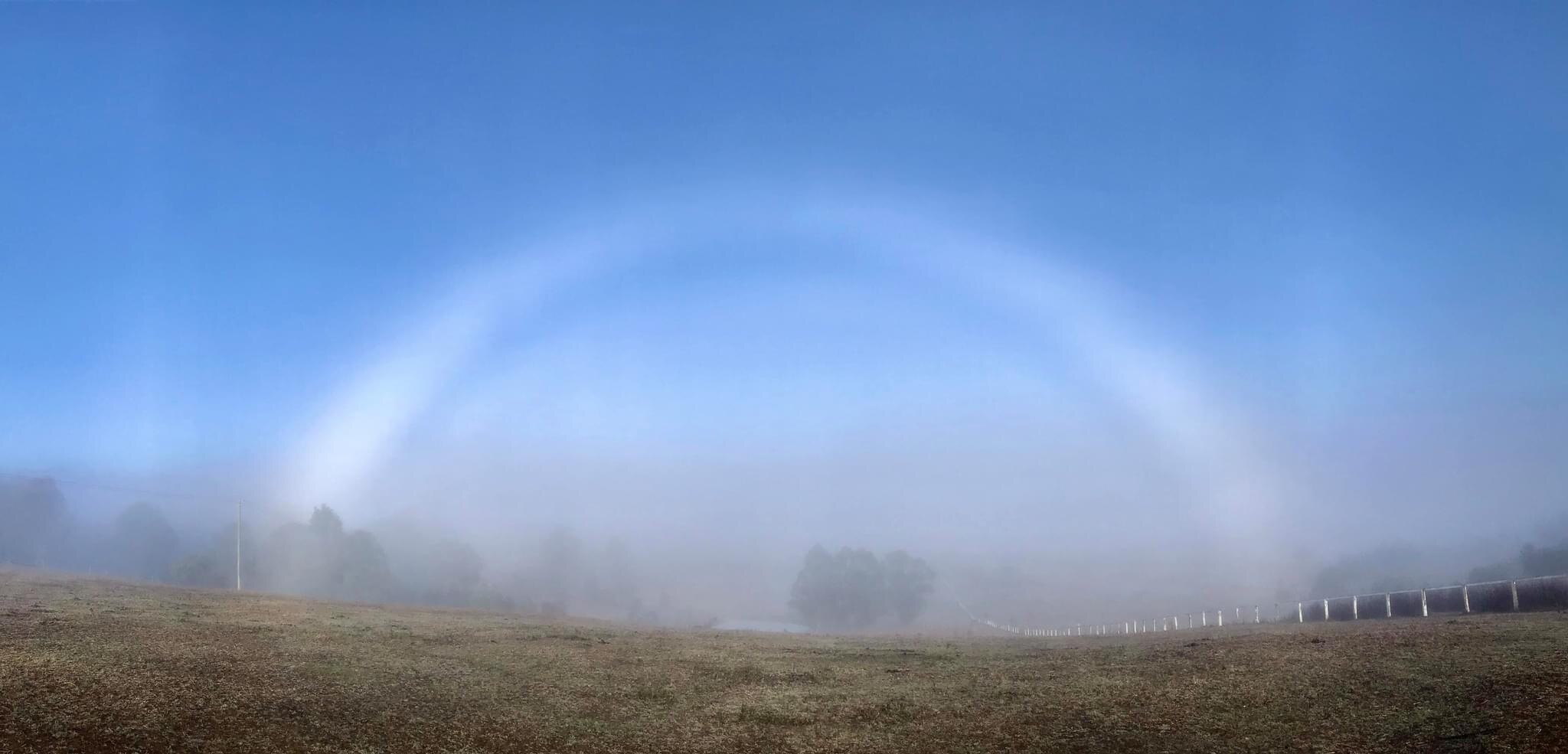Why 'fogbows', ghostly white rainbows, are such a rare treat to spot in ...