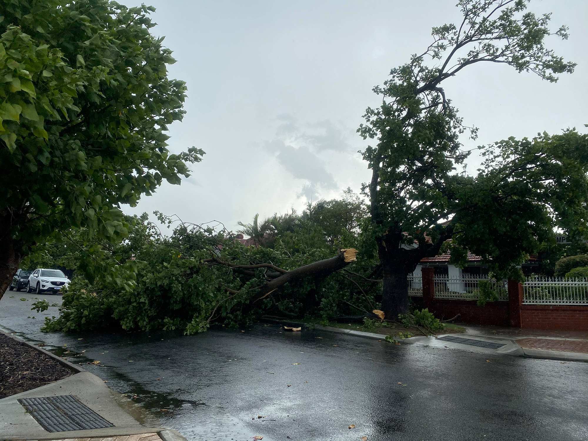 Perth storm damages homes, brings down trees and causes peak-hour ...