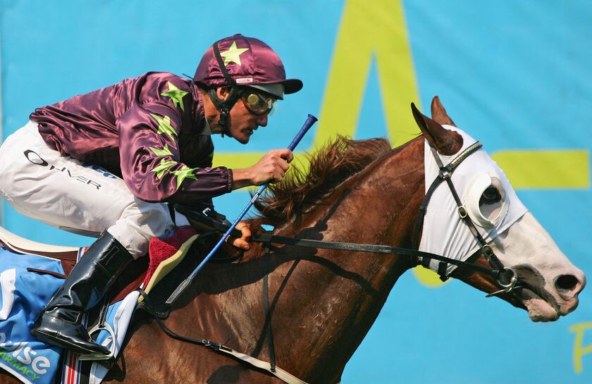 Apache Cat bounces back in Australia Stakes - ABC News