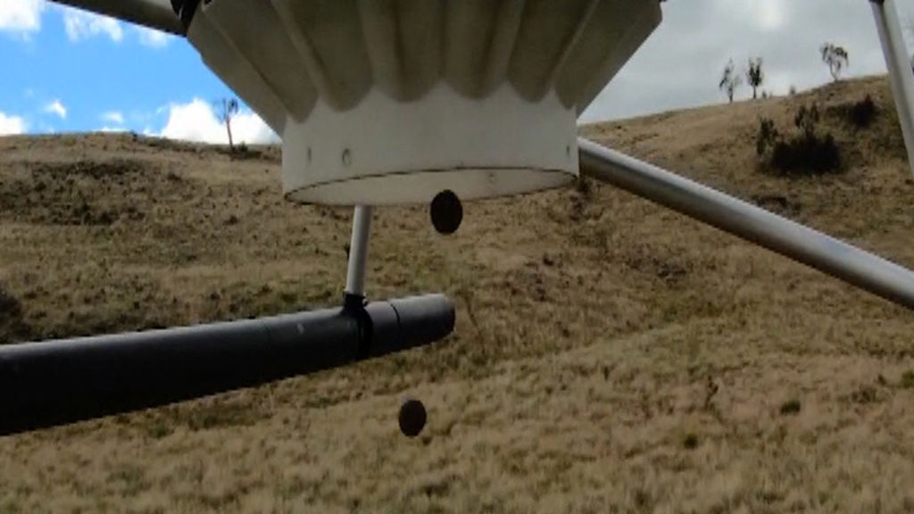The 36kg drone planting tree pods - ABC News