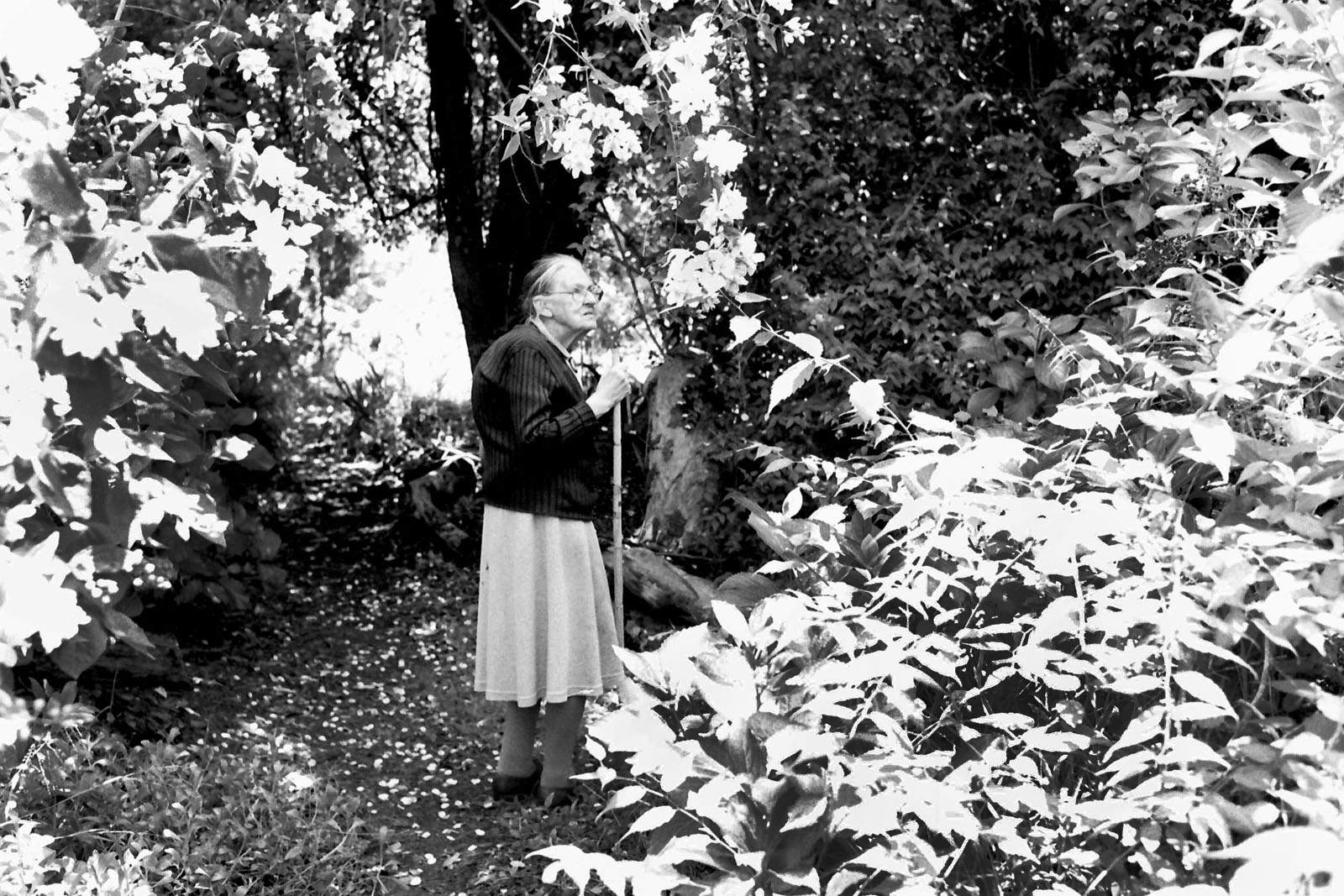 A Day with Jean Galbraith - ABC listen