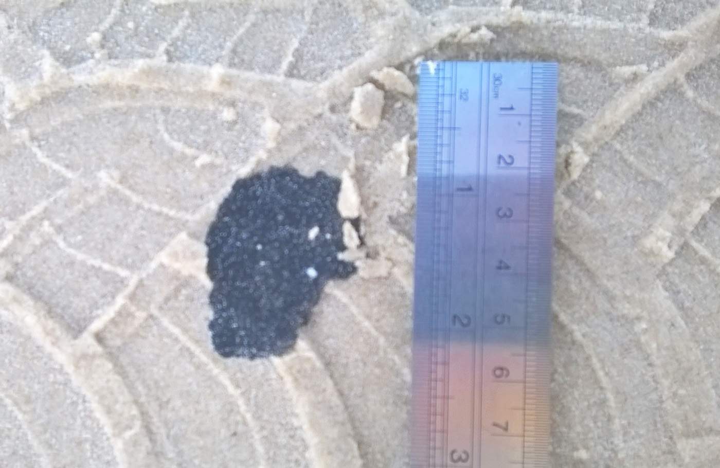 Kerrin Binnie - ABC News