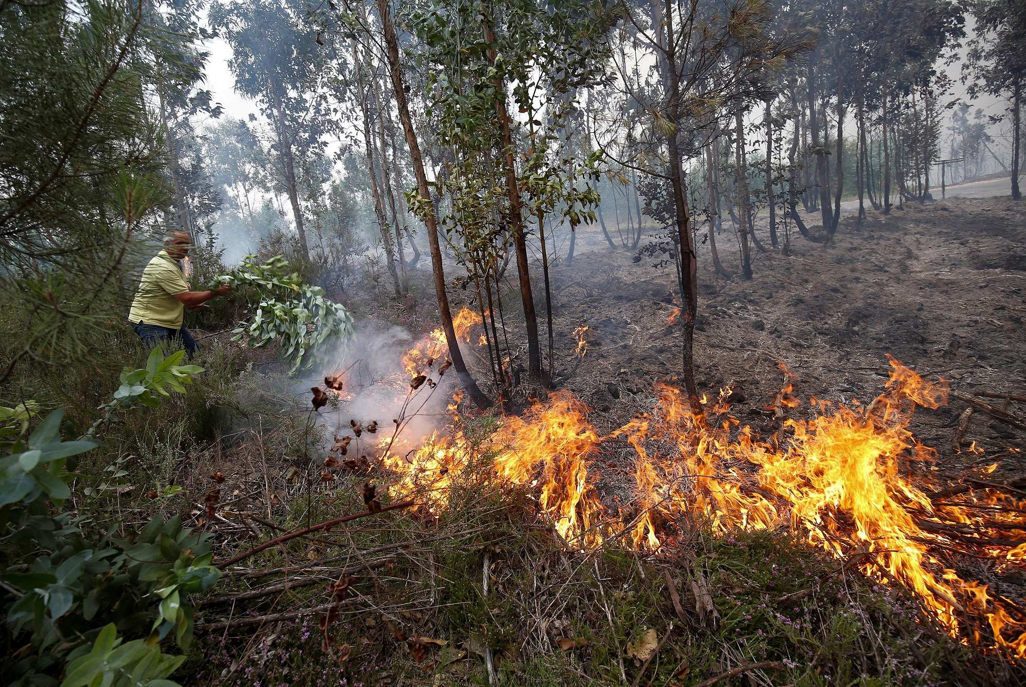 Residents survive deadly Portugal forest fire by hiding in water tank ...