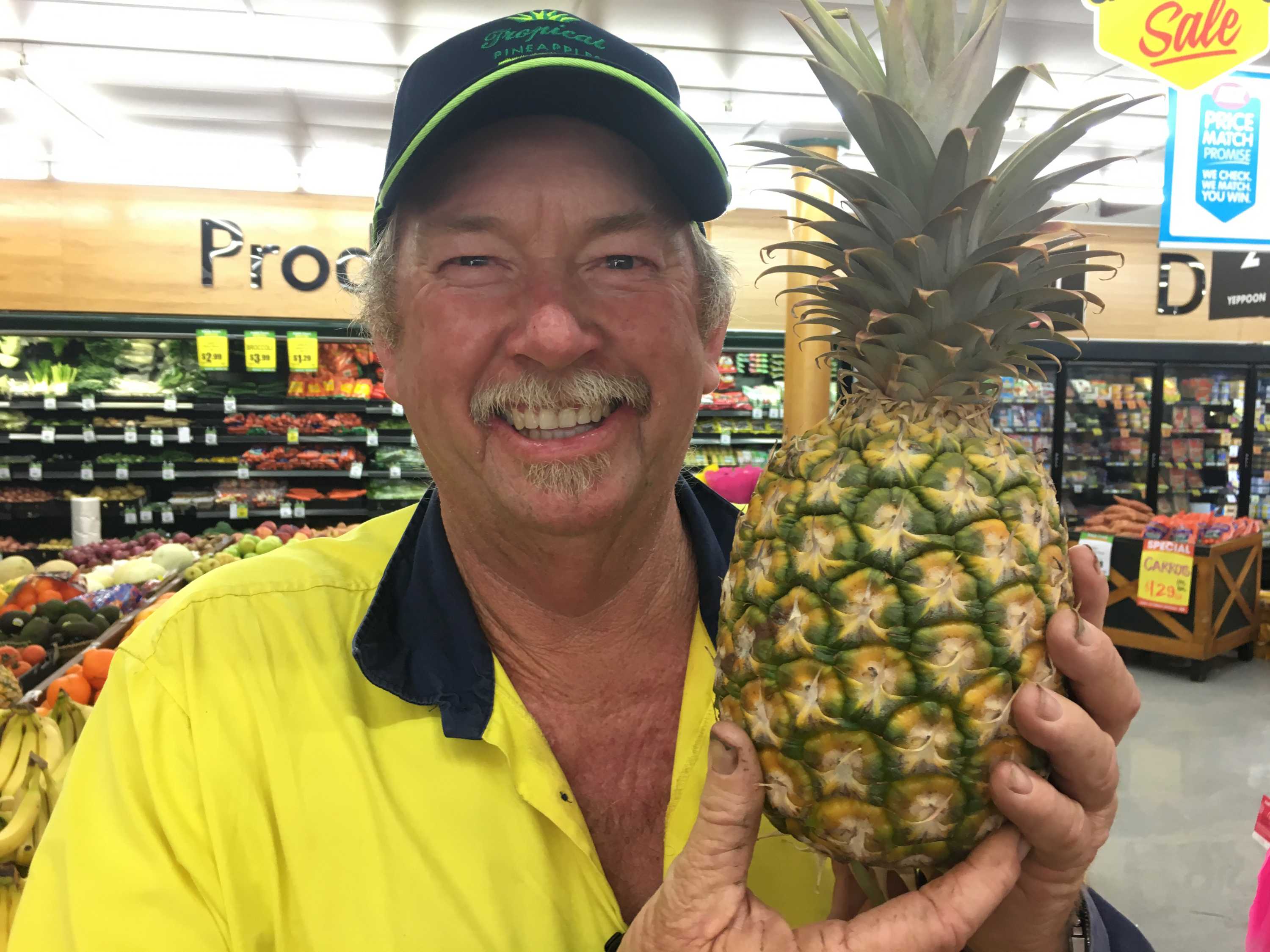 Pineapple farmers in oversupply this winter after summer heatwave - ABC ...