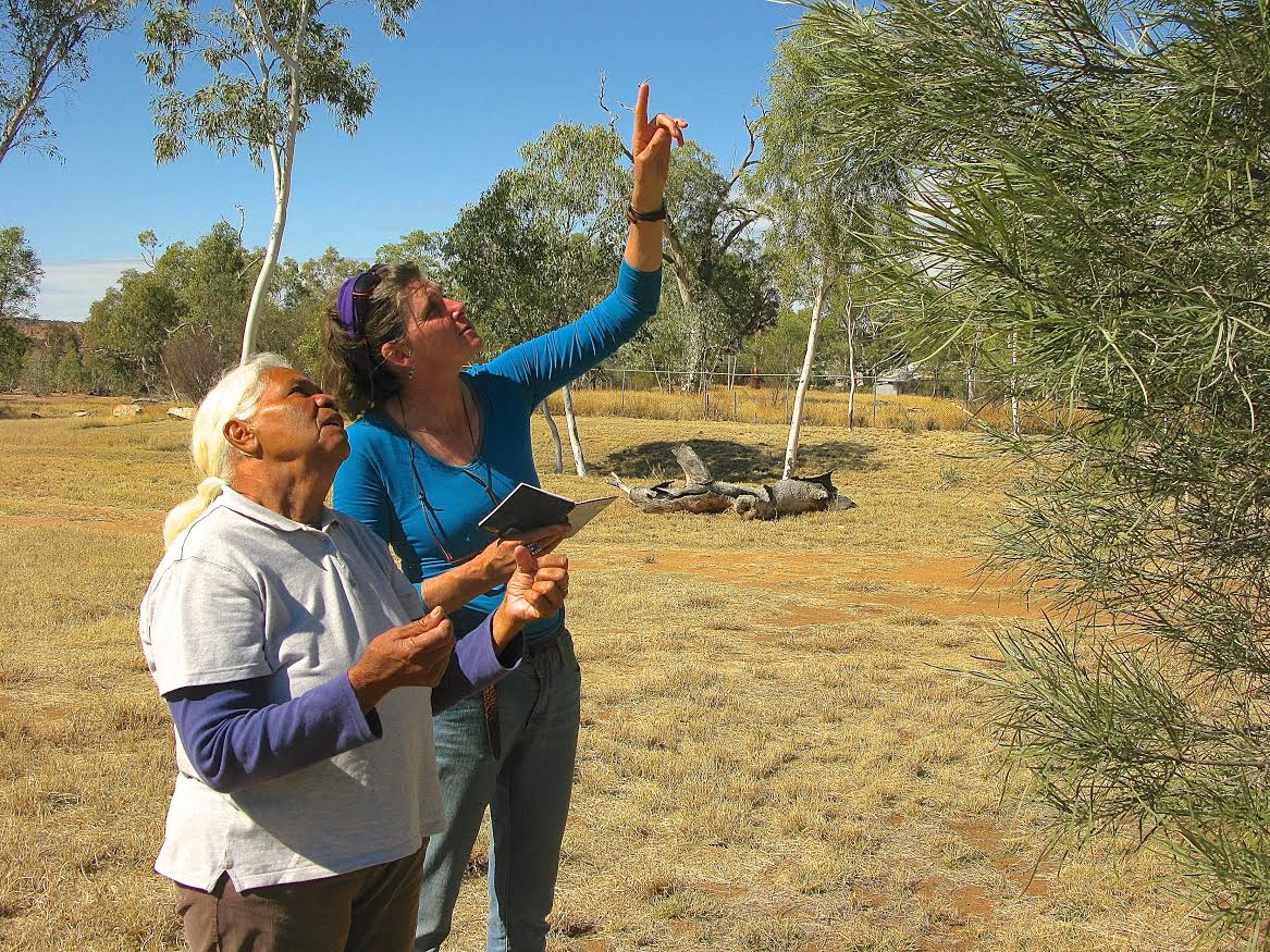 Learning about Indigenous culture from 'Arandic professor of science ...