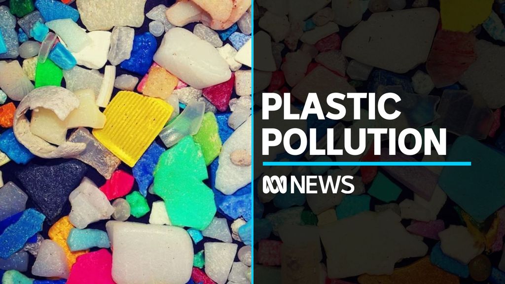 New disease caused by seabirds ingesting plastic - ABC News