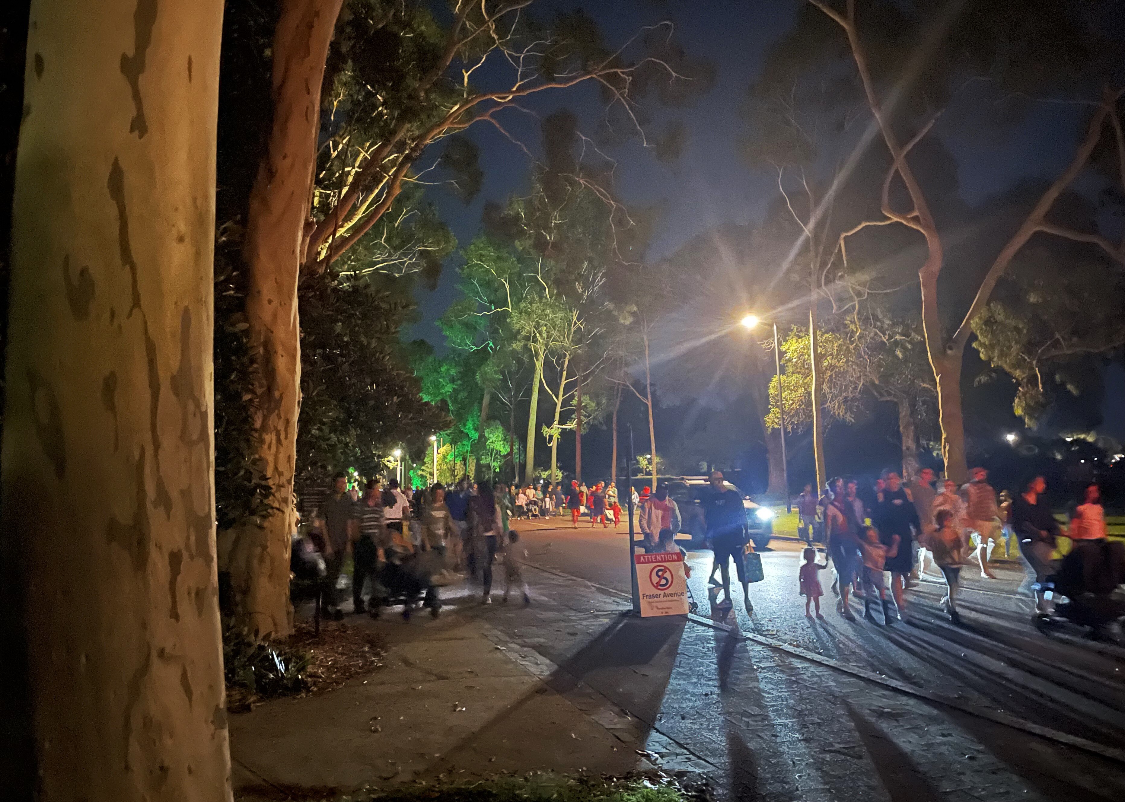 Tree branch falls on people gathered for Australia Day at Perth's Kings ...