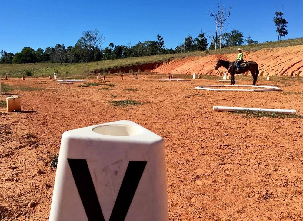 Cowboy dressage mixes classic sport with western riding tradition - ABC ...