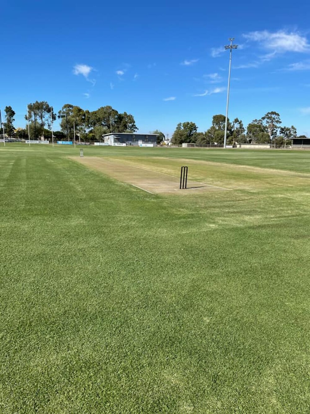 Cricket cancelled in Swan Hill as players get COVID - ABC listen
