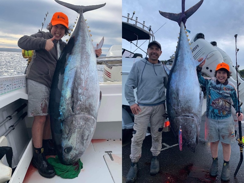Boy catches 116kg bluefin tuna at Apollo Bay - ABC listen