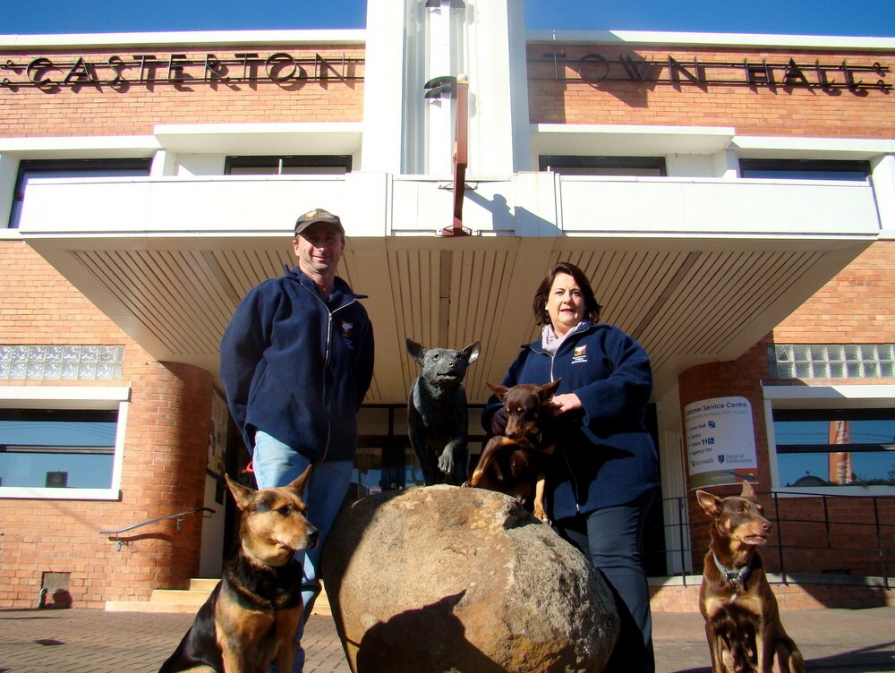 Casterton prepares to celebrate the kelpie at the 20th annual Kelpie ...