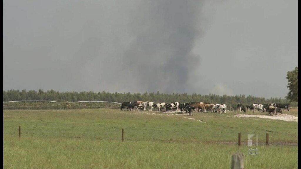 Molloy Island - 6290 - Location - ABC News