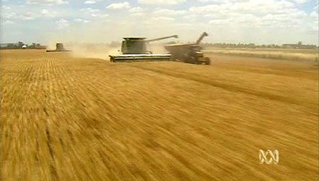 New multi-peril crop insurance for farmers - ABC News