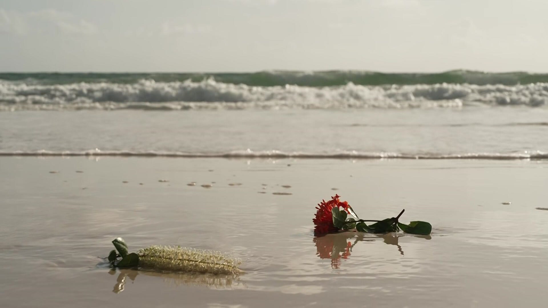 Bribie Island community mourns 17-year-old shark attack victim Charlize ...