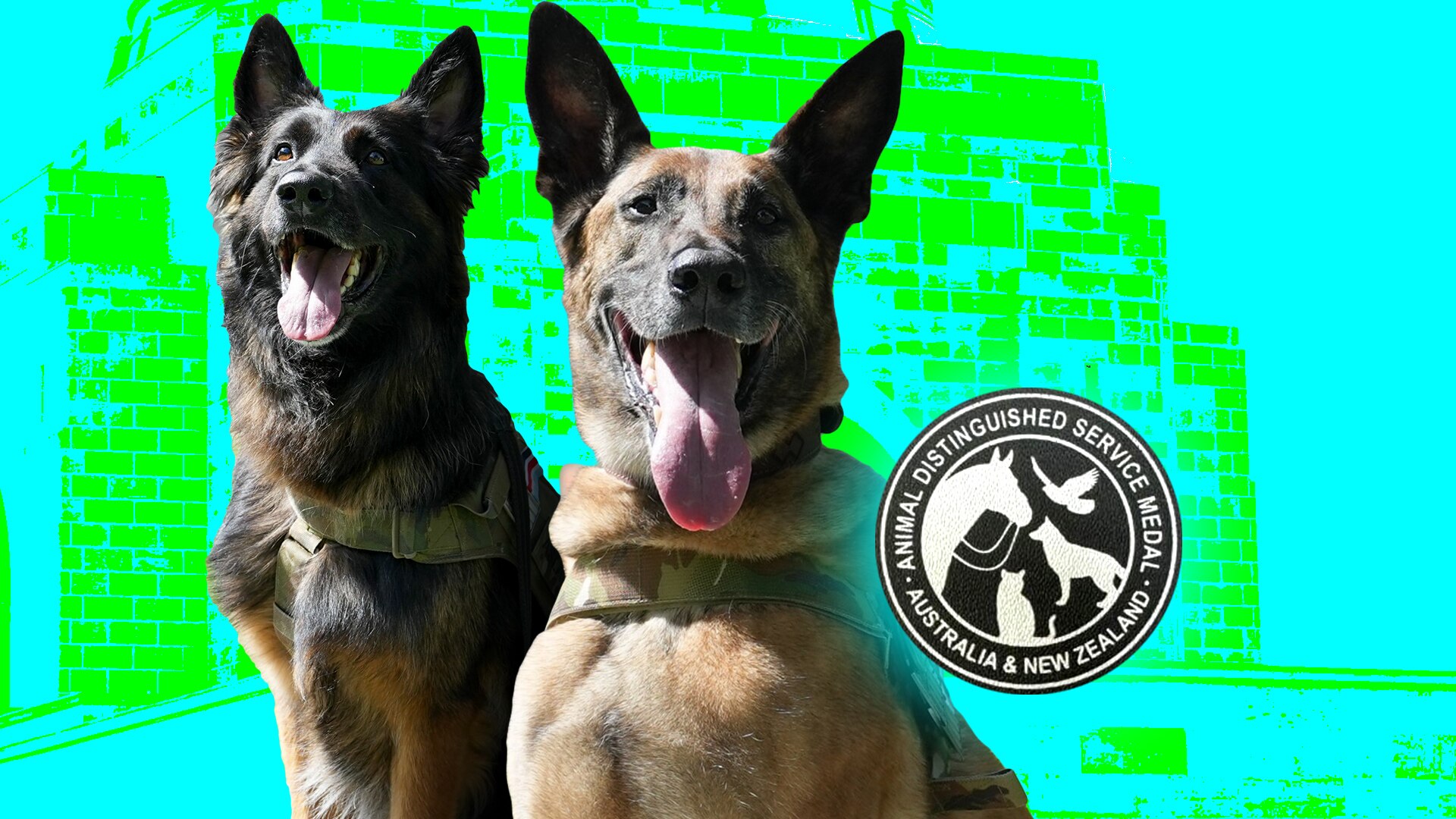 BTN Reports - Behind The News