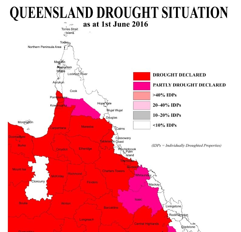 Green grass and livestock returning but drought not over in Queensland ...