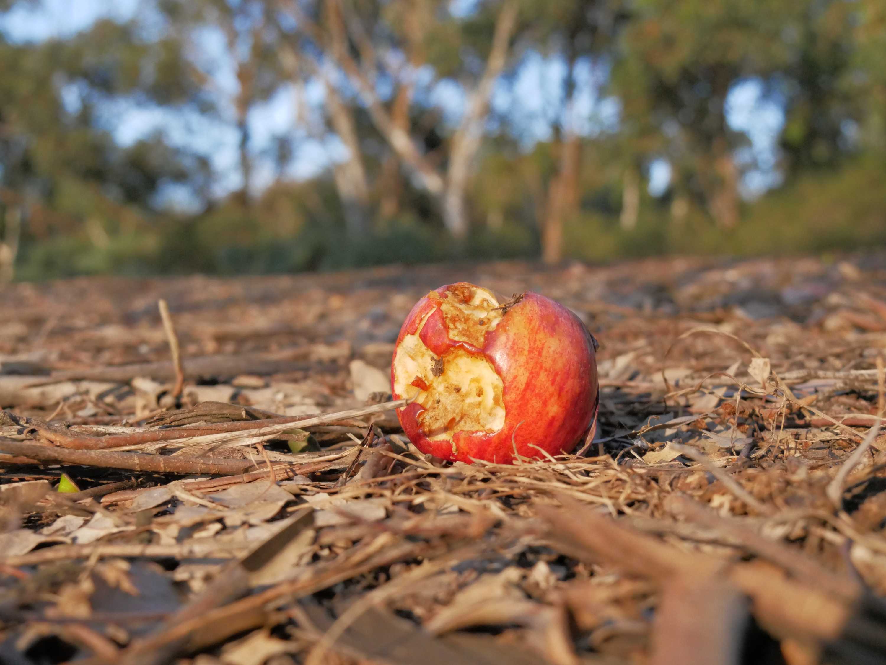 Recycling food waste - ABC Brisbane
