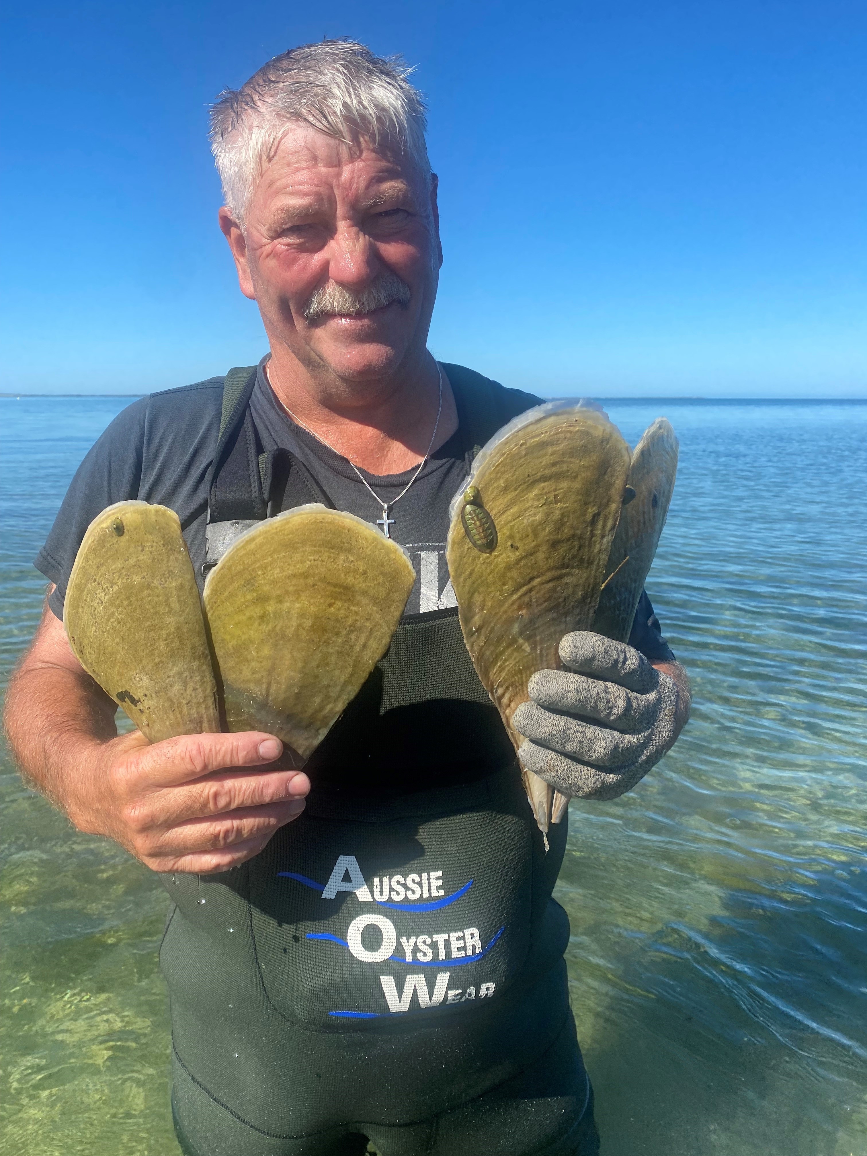 Oyster grower gains first razorfish licence in Australia - ABC News