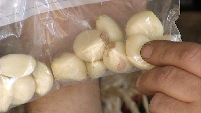 FAQs - Wonky Root Crops | Storing Garlic | Powdery Mildew - Gardening ...