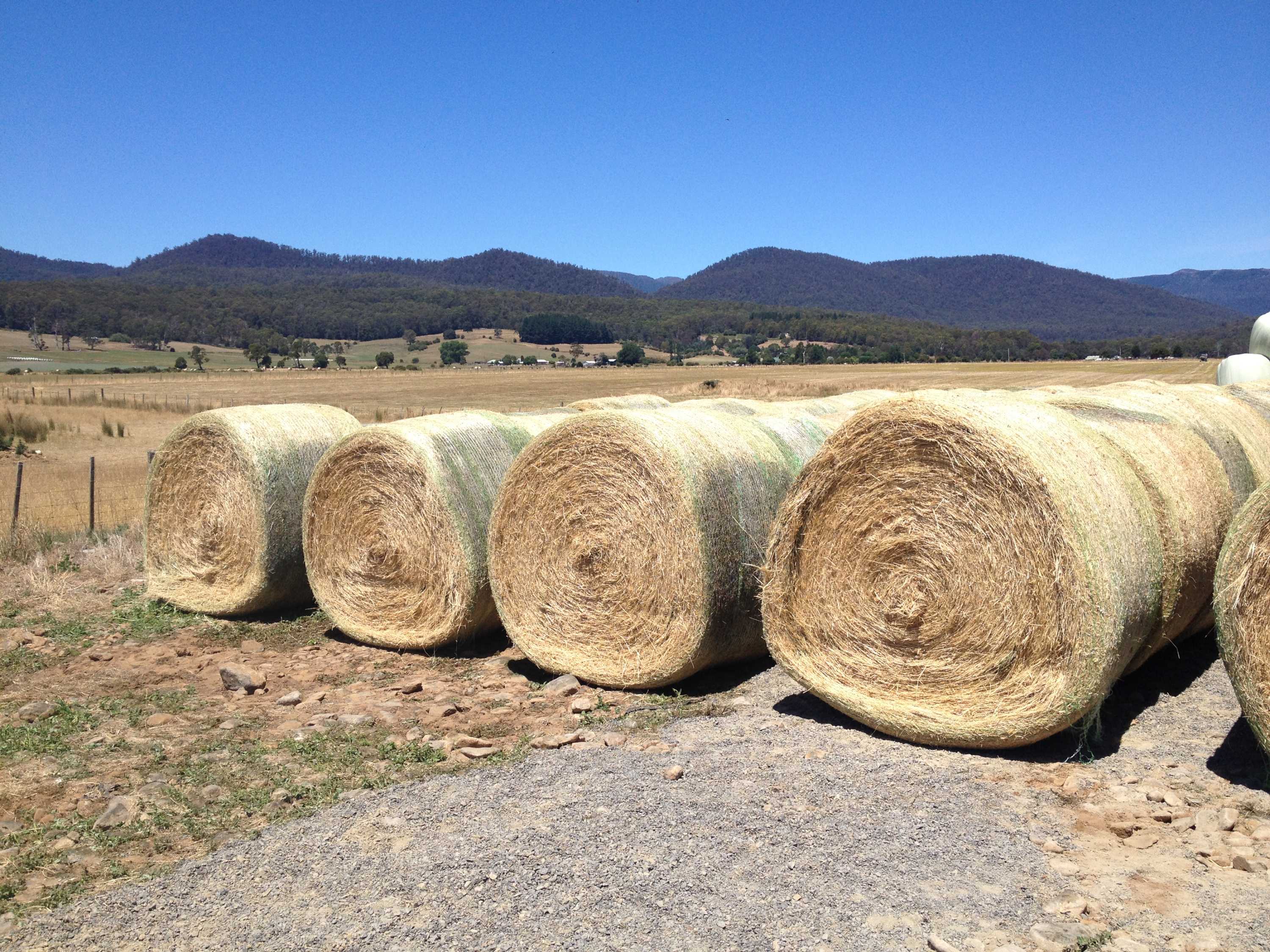 Tasmanian Country Hour - ABC listen