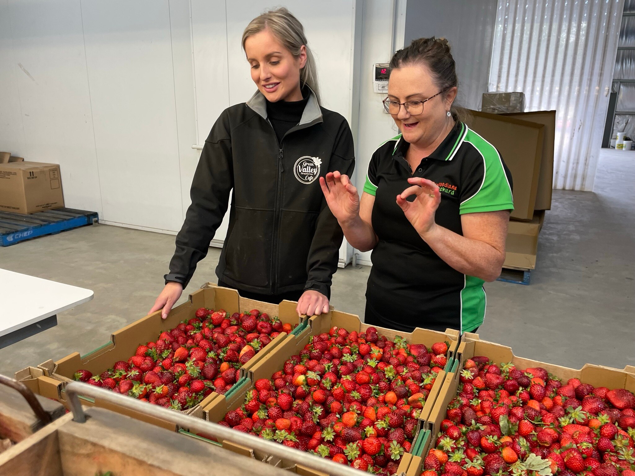 Scouting inspires SA woman to turn farm waste into sustainable food ...