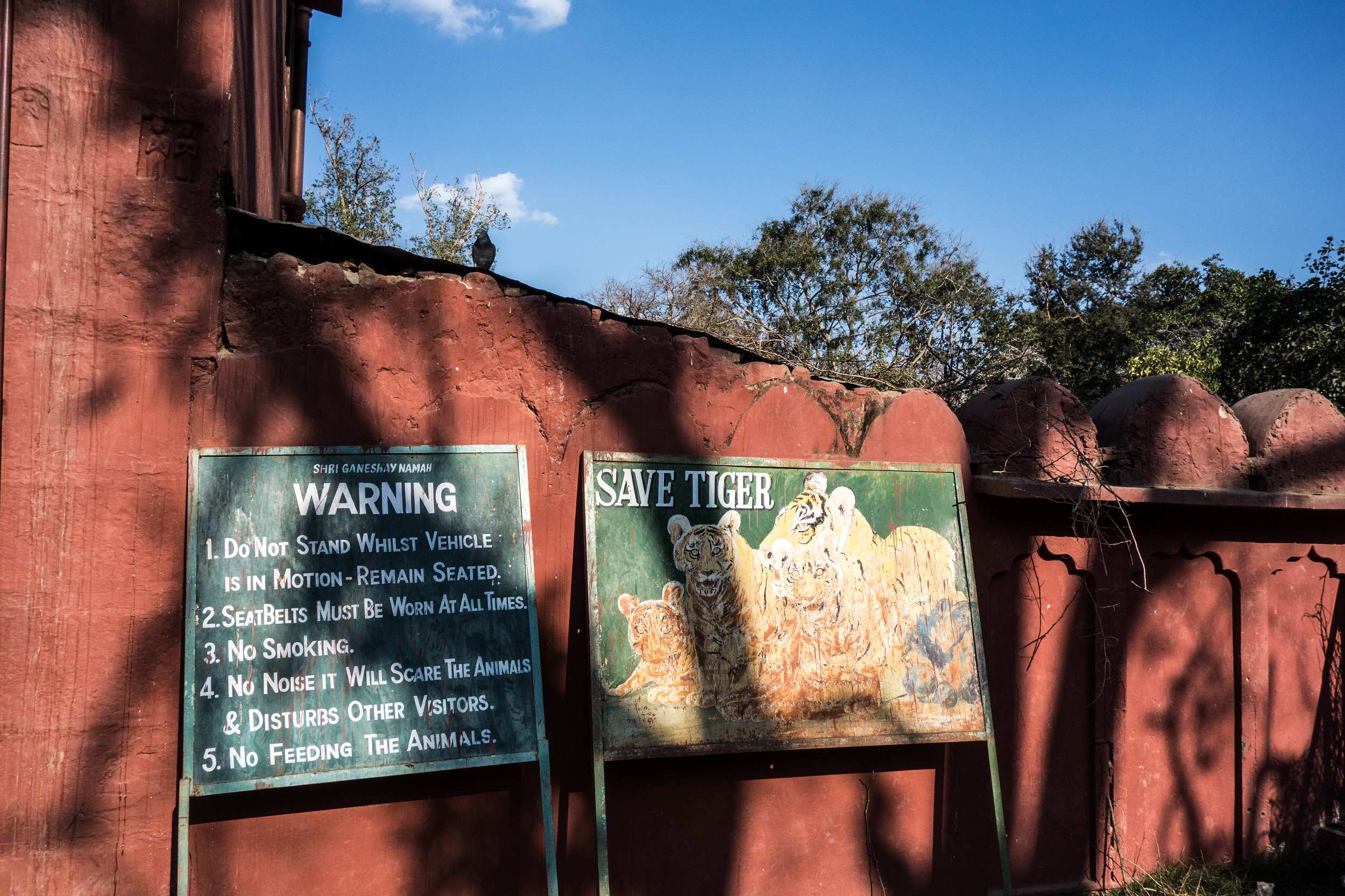 India's Indigenous people demand land rights after being displaced by ...