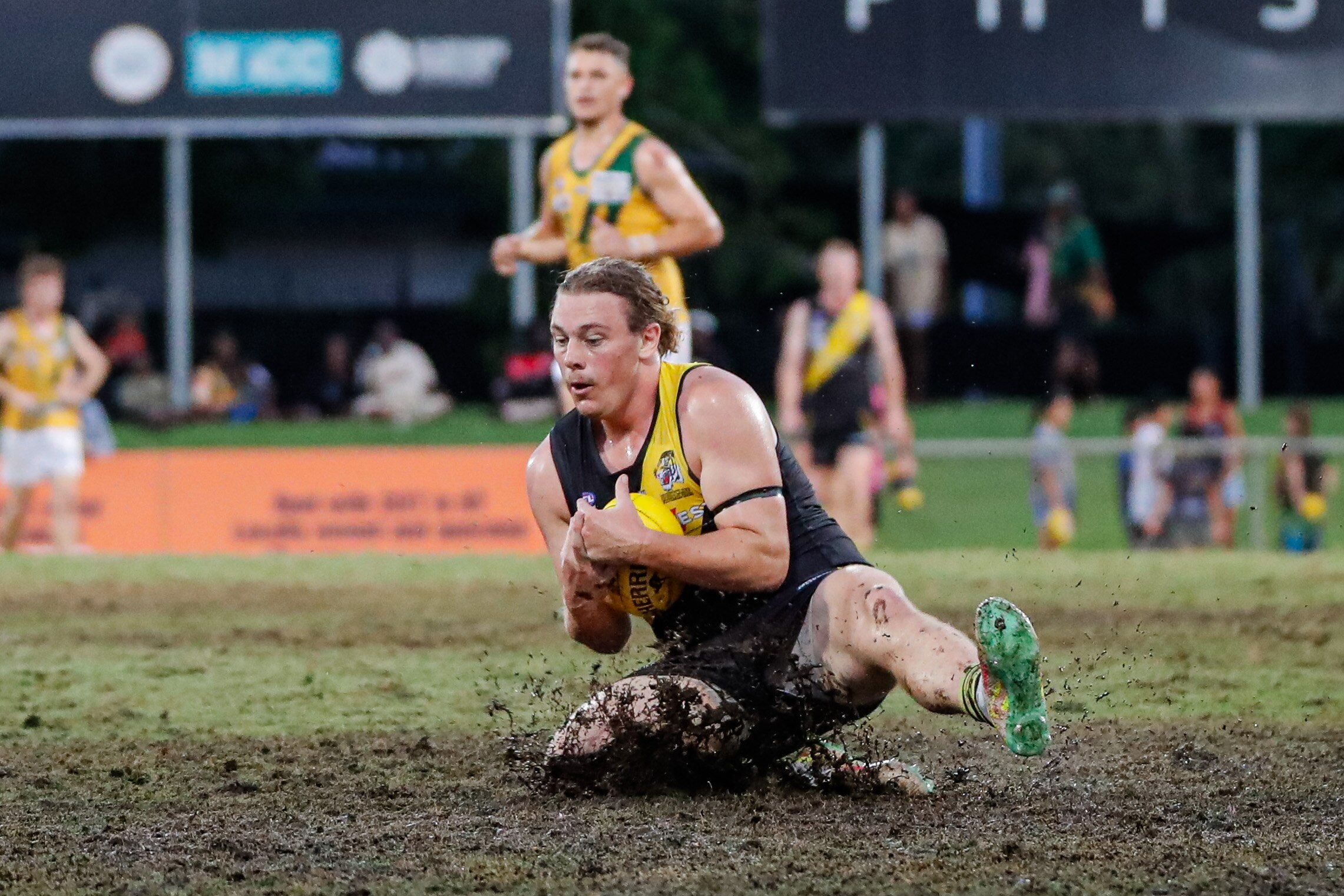 Race to turn Darwin 'buffalo wallow' back into grass in time for NRL ...