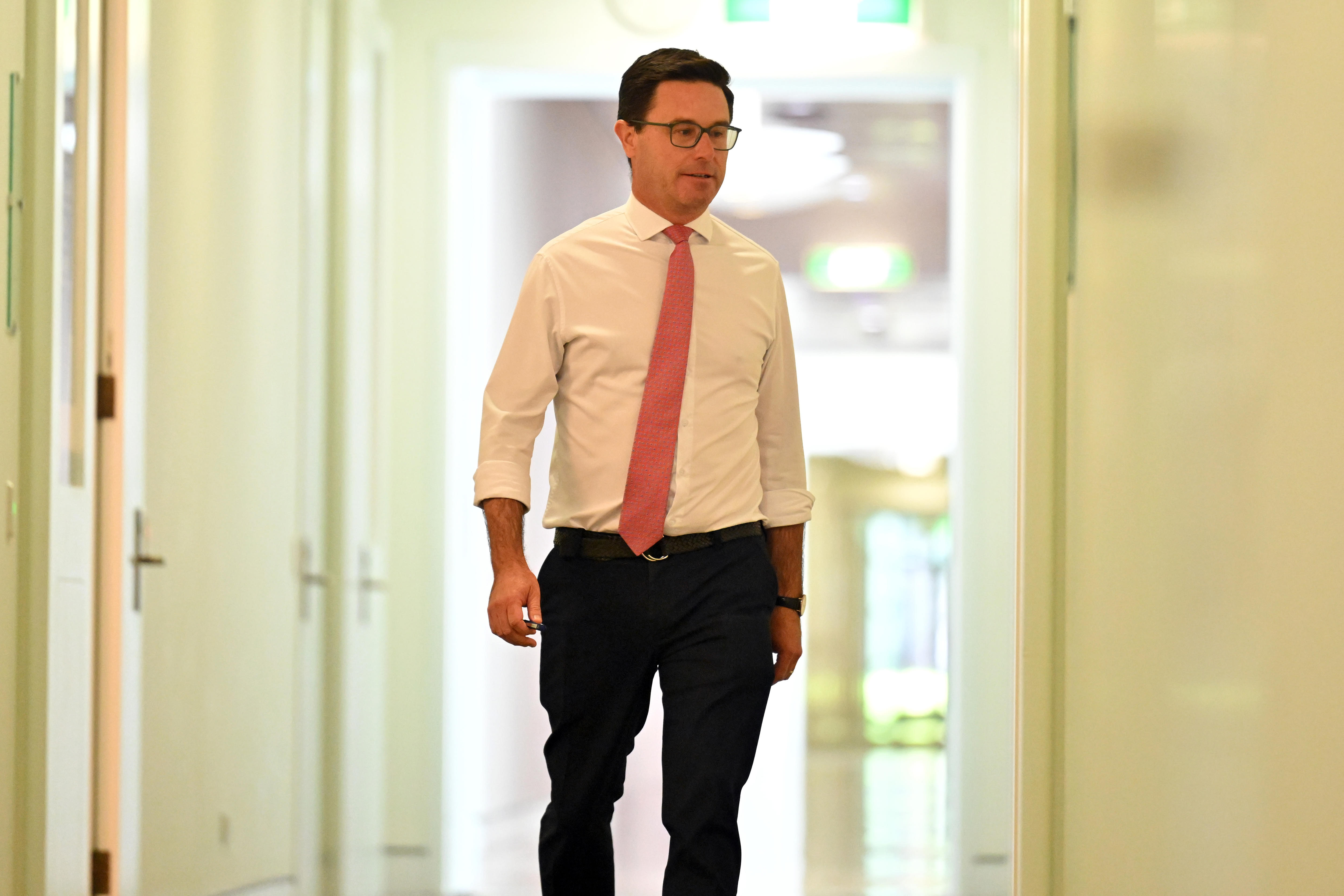 David Littleproud sees off leadership challenge - ABC News