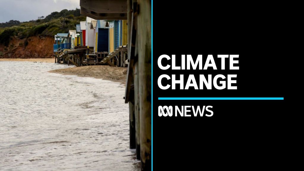 Councils faced with planning around future sea level rise - ABC News