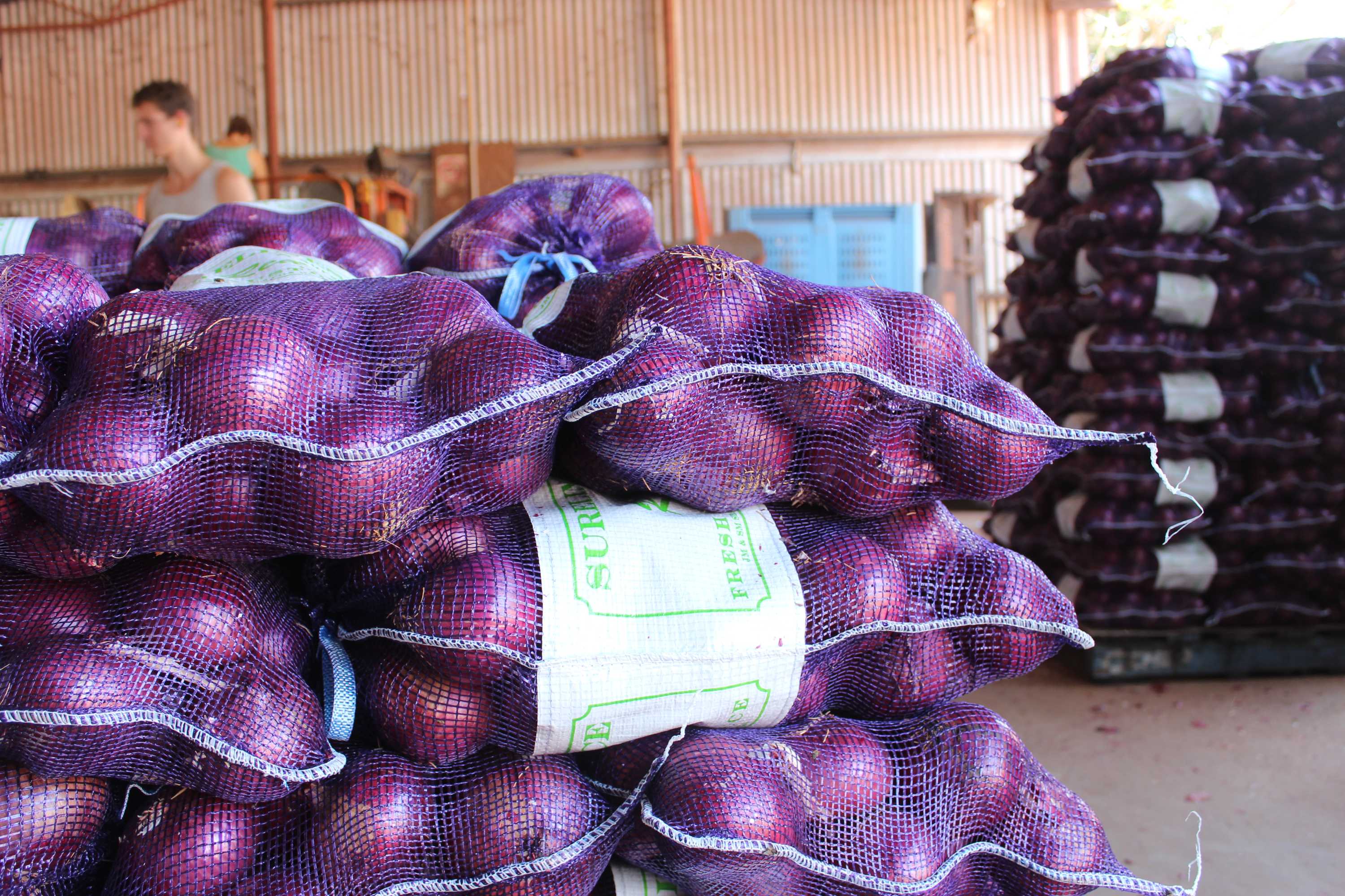 Top End onions hit the shelves as Californian imports drop prices - ABC ...